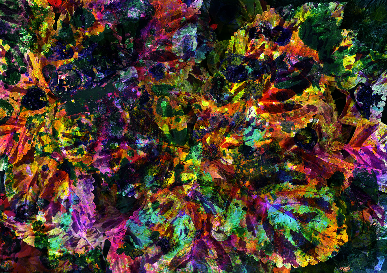 Swiss Design Awards | Maya Rochat